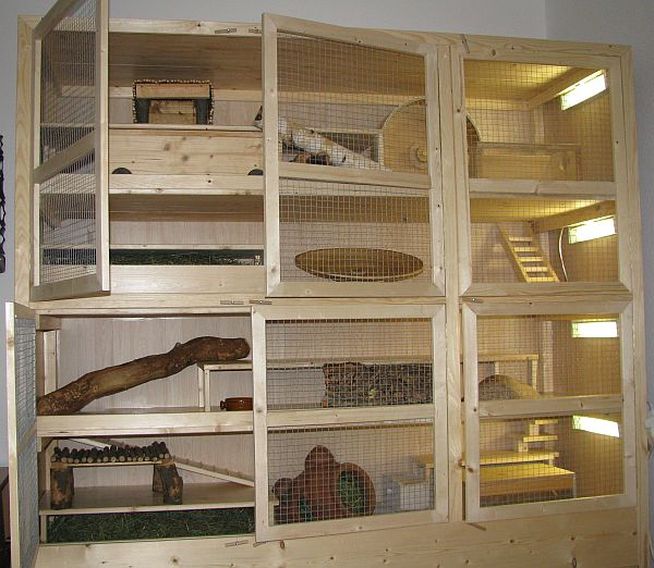 What Should they be kept in?